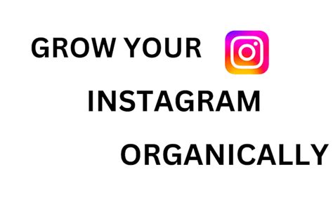 Do Super Fast Organic Instagram Growth By Bulbul199 Fiverr