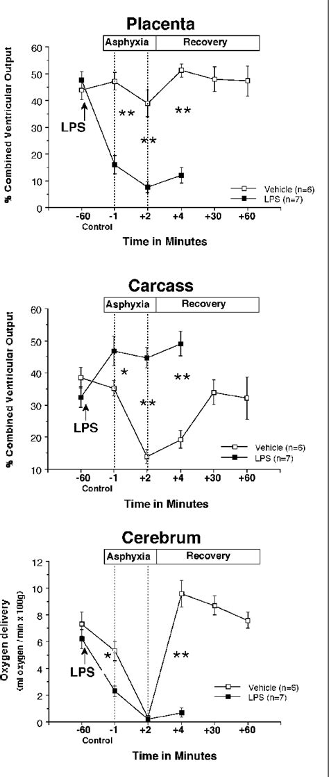 Figure 1 From The Significance Of Fetal Inflammation In The