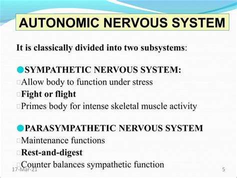 Autonomic Nervous System Pptx