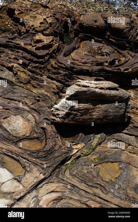 Concentric Rings In Geology Around Robertson Point Lighthouse Cremorne