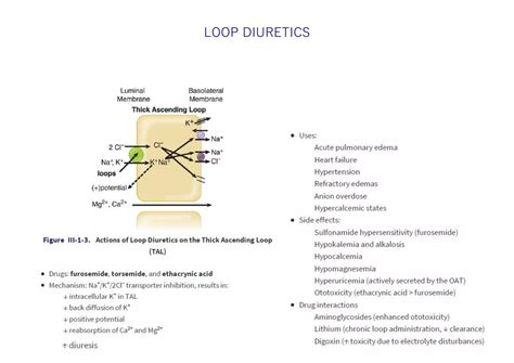 Keycards Diuretics In Heart Failurepdf