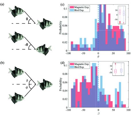 Information Propagation Characteristics Based On Fish Orientation And Download Scientific