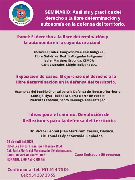 Seminario AnÁlisis Y PrÁctica Del Derecho A La Libre DeterminaciÓn Y