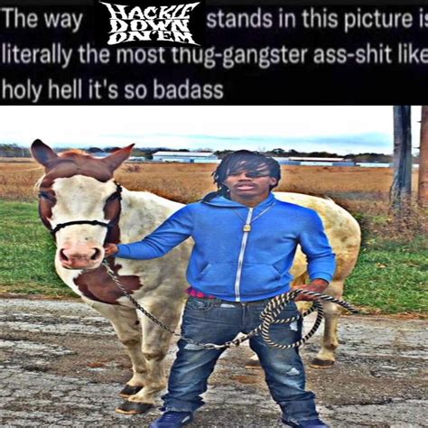 Hackle Down On Em R Hauntedmound