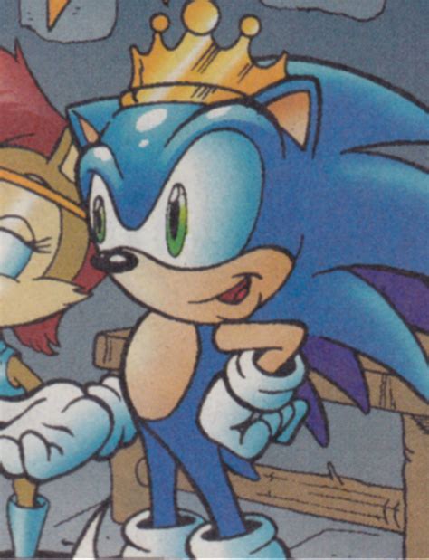 Sonic The Hedgehog Future Version Mobius Encyclopaedia Fandom