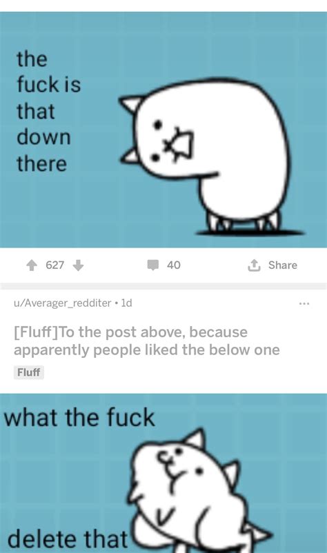 Fluff When You Realize Your Battle Cats Meme Ironically Backfired Rbattlecats