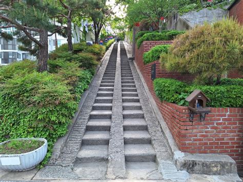 대구 청라언덕 대구 근대골목 3·1만세운동길 90계단 선교사 주택 동무생각 노래비 등 네이버 블로그