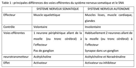 Neuro Sémio Flashcards Quizlet
