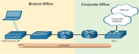 CCNA V Curriculum Module WLAN Concepts