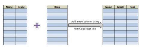 If Else Condition In R DataScience Made Simple