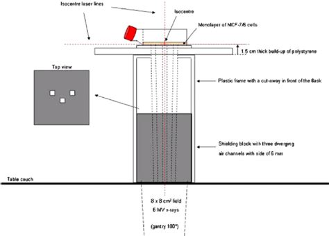 Experimental Setup 1 Irradiation Of A Cell Monolayer In A T25 Flask Download Scientific