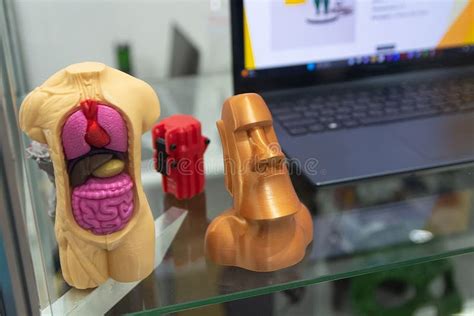 Human Anatomical Model Made Using 3d Printing Technology Stock Image