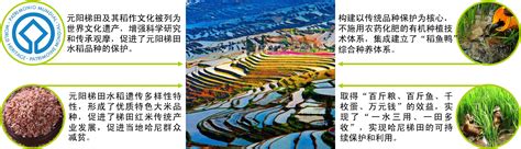 农业生物多样性应用技术国家工程研究中心