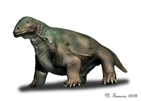 Moschops Alchetron The Free Social Encyclopedia