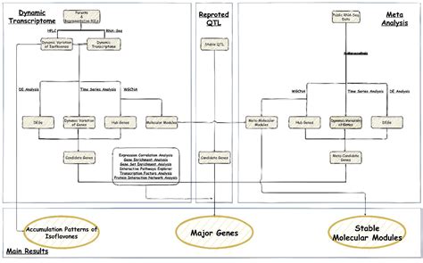 Frontiers Developmental Dynamic Transcriptome And Systematic Analysis