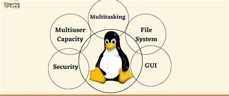 Day 5 Advanced Linux Shell Scripting For Devops Engineers With User