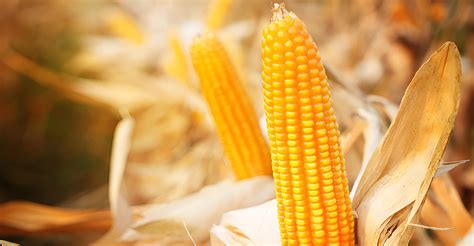 News And Events Isotech Llc