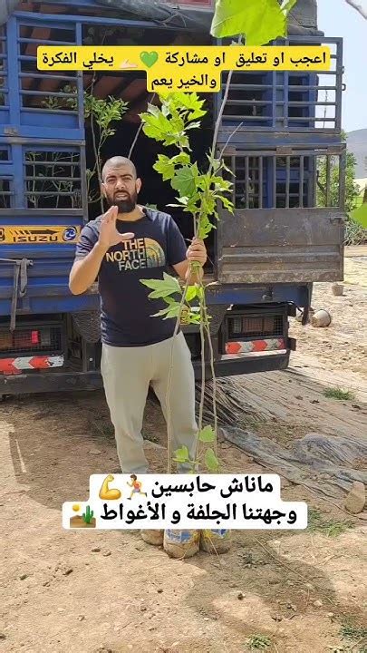 إغرس شجرة وإحتسب الاجر العظيم شجرة 🌳 شجرة 🌲 و نشوفوا بلادنا خضراء 🇩🇿