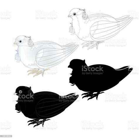 비둘기 흰색 장식 비둘기 귀여운 작은 새 윤곽과 실루엣에 흰색 배경 빈티지 벡터 일러스트 레이션 편집 가능 귀여운에 대한 스톡 벡터 아트 및 기타 이미지 Istock