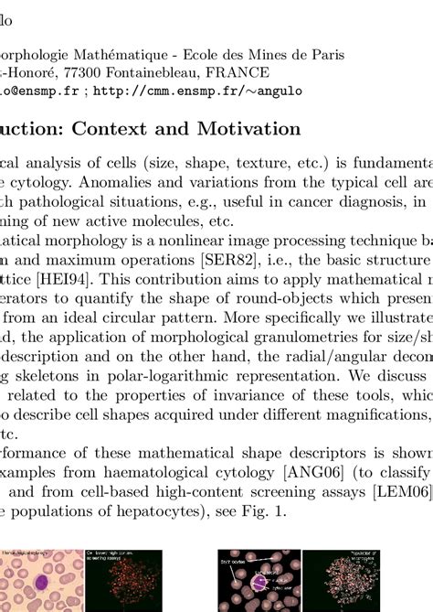 Microscopic Cell Images Left Segmented Cell Shapes To Be Analysed