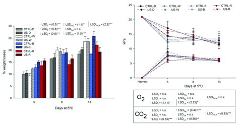 Weight Losses Left And Gas Partial Pressures Within Trays Right Of Download Scientific