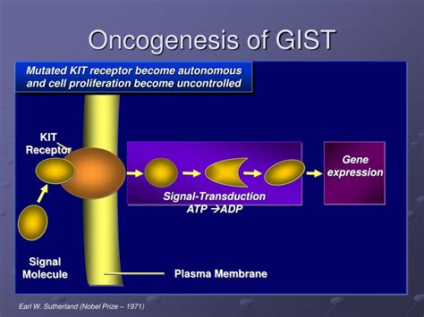 Ppt Management Of Gist Powerpoint Presentation Free Download Id