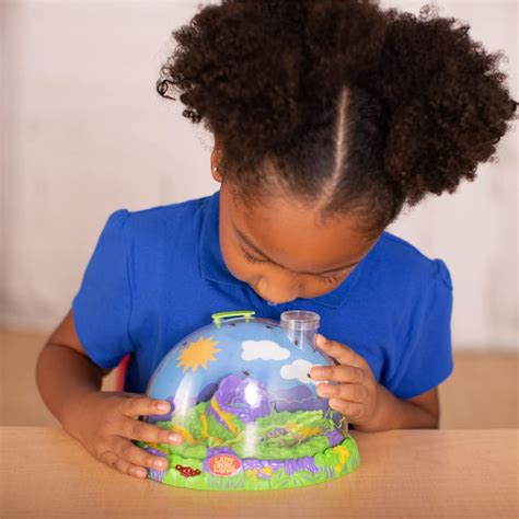 Ladybug Land Easy Peasy Science