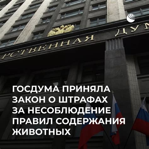 Госдума приняла сразу во втором и третьем РИА Новости