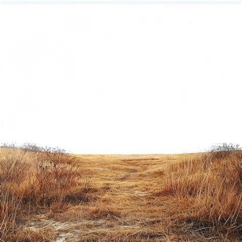 A Dead Grass Field Premium Ai Generated Image