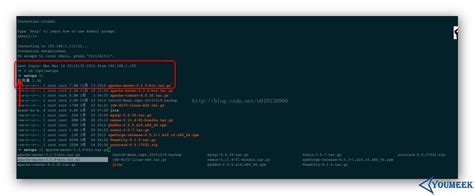 Linux终极shell Zsh的完美配置方案！——oh My Zshoh My Zshsh Csdn博客