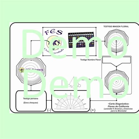 Radionics Chart Etsy