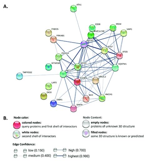 Functional Enrichment Analysis Of Protein Protein Interaction Networks