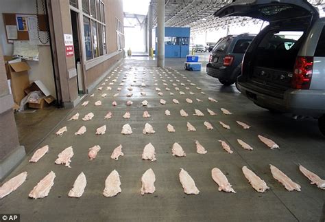 Fish Bladders Seven People Arrested For Smuggling Fish Bladders Worth