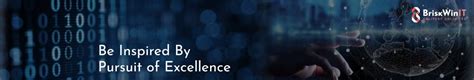 Briskwin It Solutions Linkedin