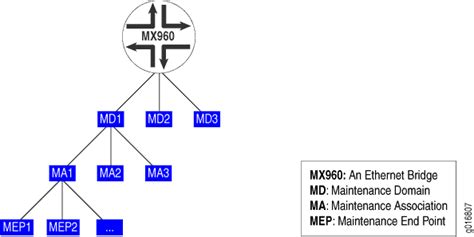 Introduction To Oam Connectivity Fault Management Cfm Junos Os