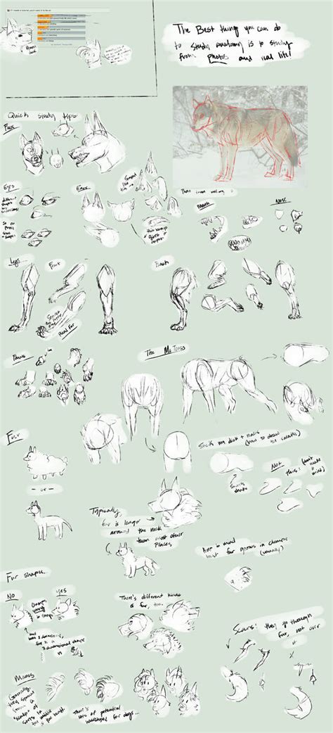 Shady Anatomy Help By Zepharen On Deviantart