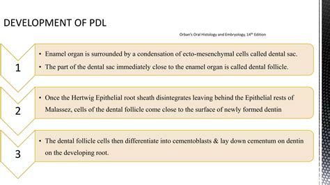 Ultra Structure And Function Of Pdl Pptx