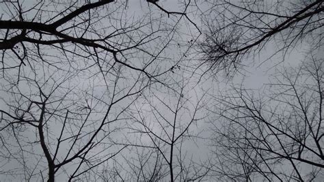 max msp music techno ambient youtube