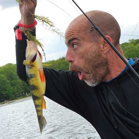 Andrew Birnbaum On Linkedin Agenda And Effort Bring Success Never Hope