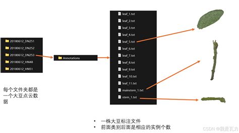 点云实例分割 Softgroup 训练自己数据集 Ew帮帮网