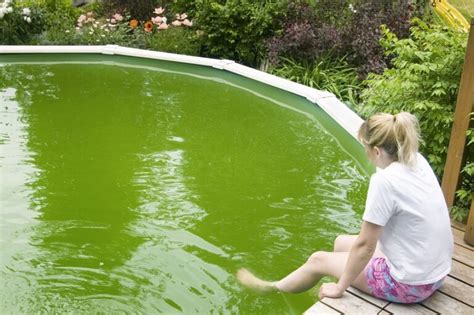 How To Clear Green Pool Water Fast