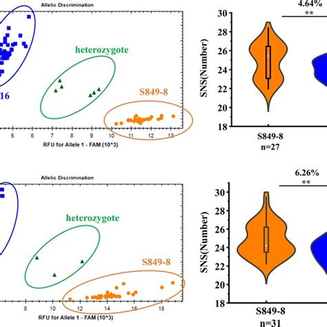 Validation Of Major Qtl In Different Genetic Backgrounds Effects Of Download Scientific