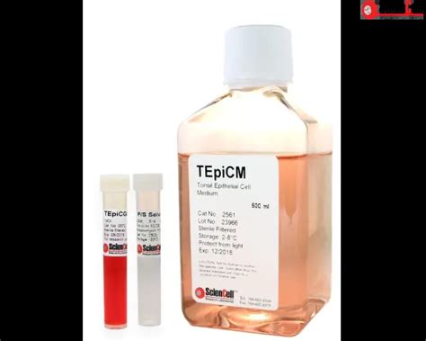 Tonsil Epithelial Cell Medium Tepicm
