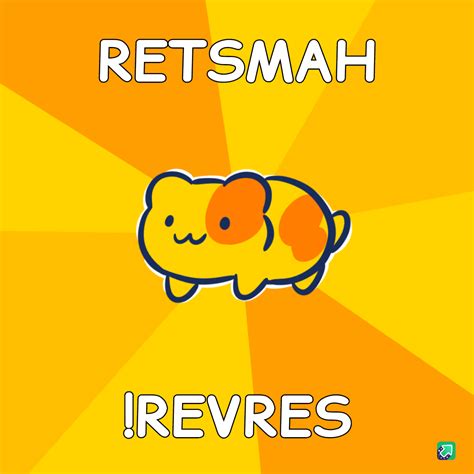 Just Messed Up All Day Album On Imgur