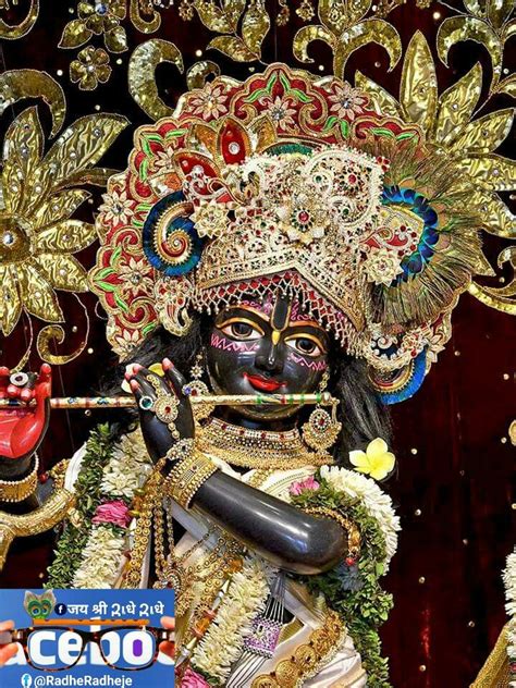 जय शर कषण जय शर रध कषण रध रध भकत रम सत वदवन बरसन भगवत गत हर कषण