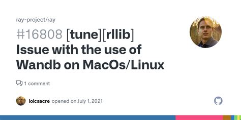 Tune Rllib Issue With The Use Of Wandb On Macoslinux · Issue 16808