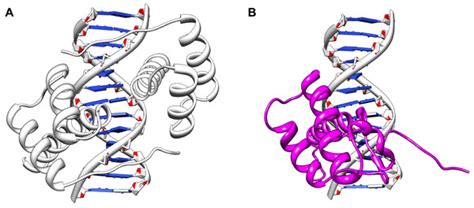 Structural Alignment Process A The Template Dna Sequence With Its Download Scientific Diagram