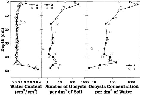 Water Saturation Profile And Spatial Distribution Of C Parvum