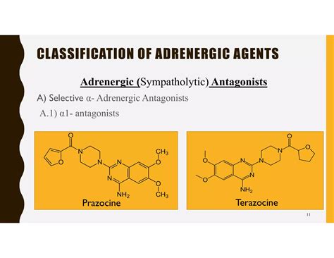 Skv Adrenergic And Cholinergic System Ppt