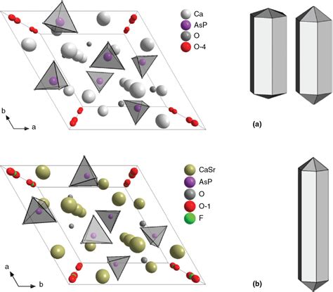 Introduction To Apatites Intechopen